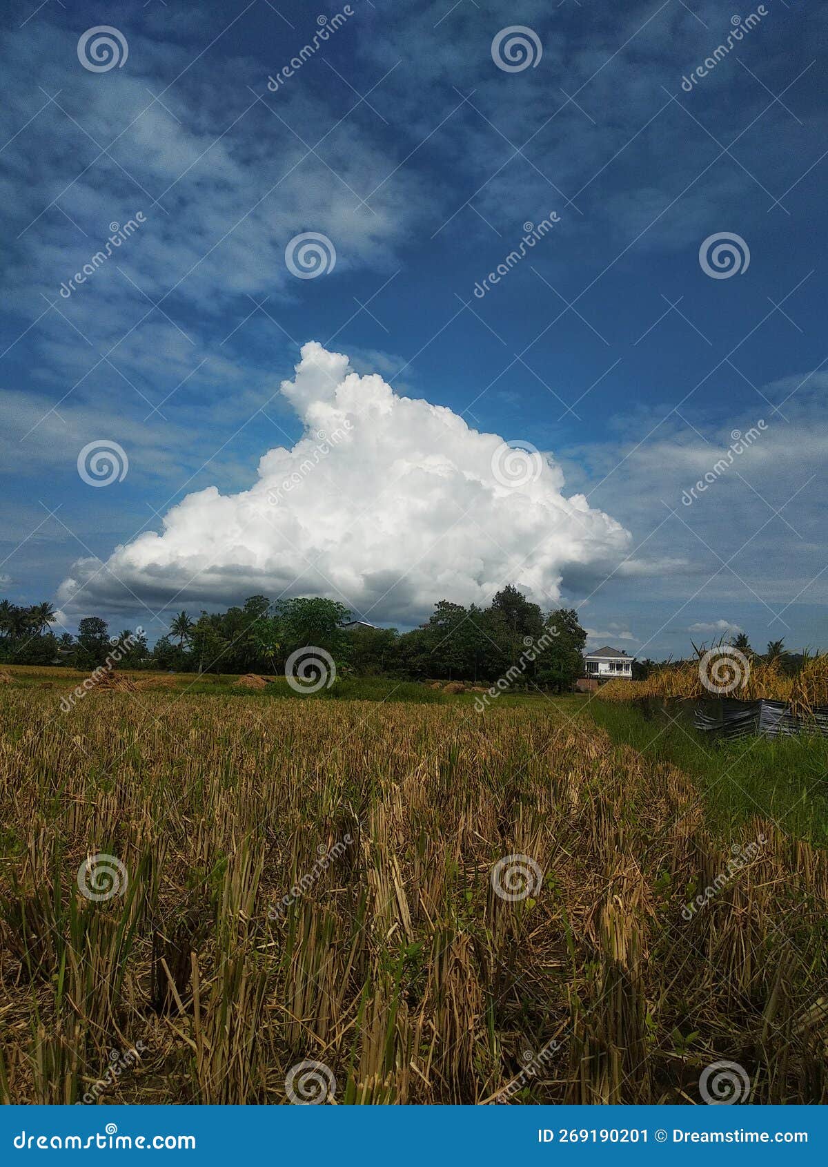 A Portrait of a Cloud that Looks Beautiful Stock Image - Image of cover ...
