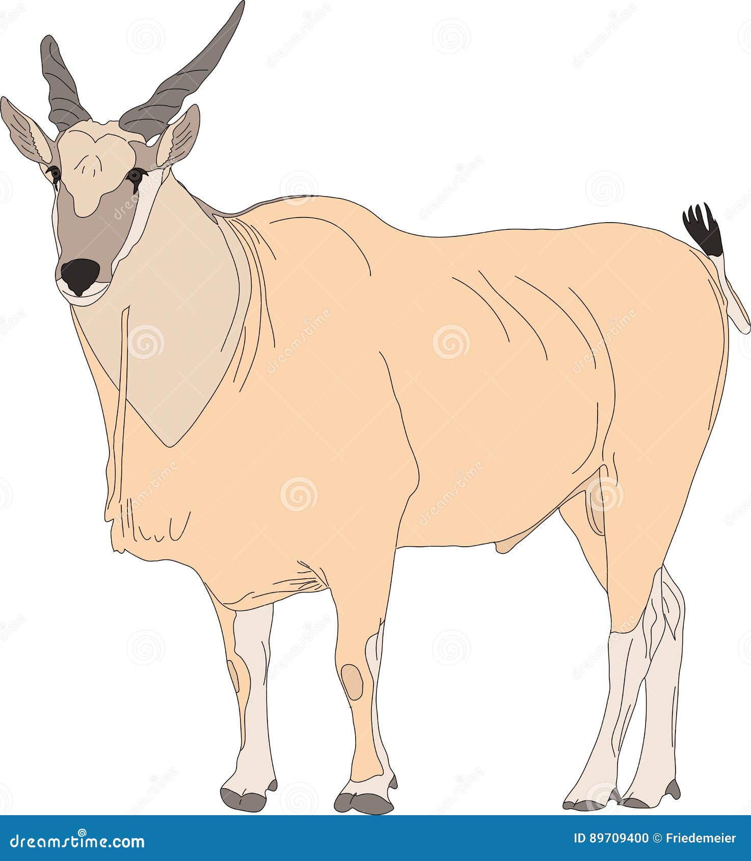 Eland Antelope - Silhouette Vector Illustration | CartoonDealer.com ...