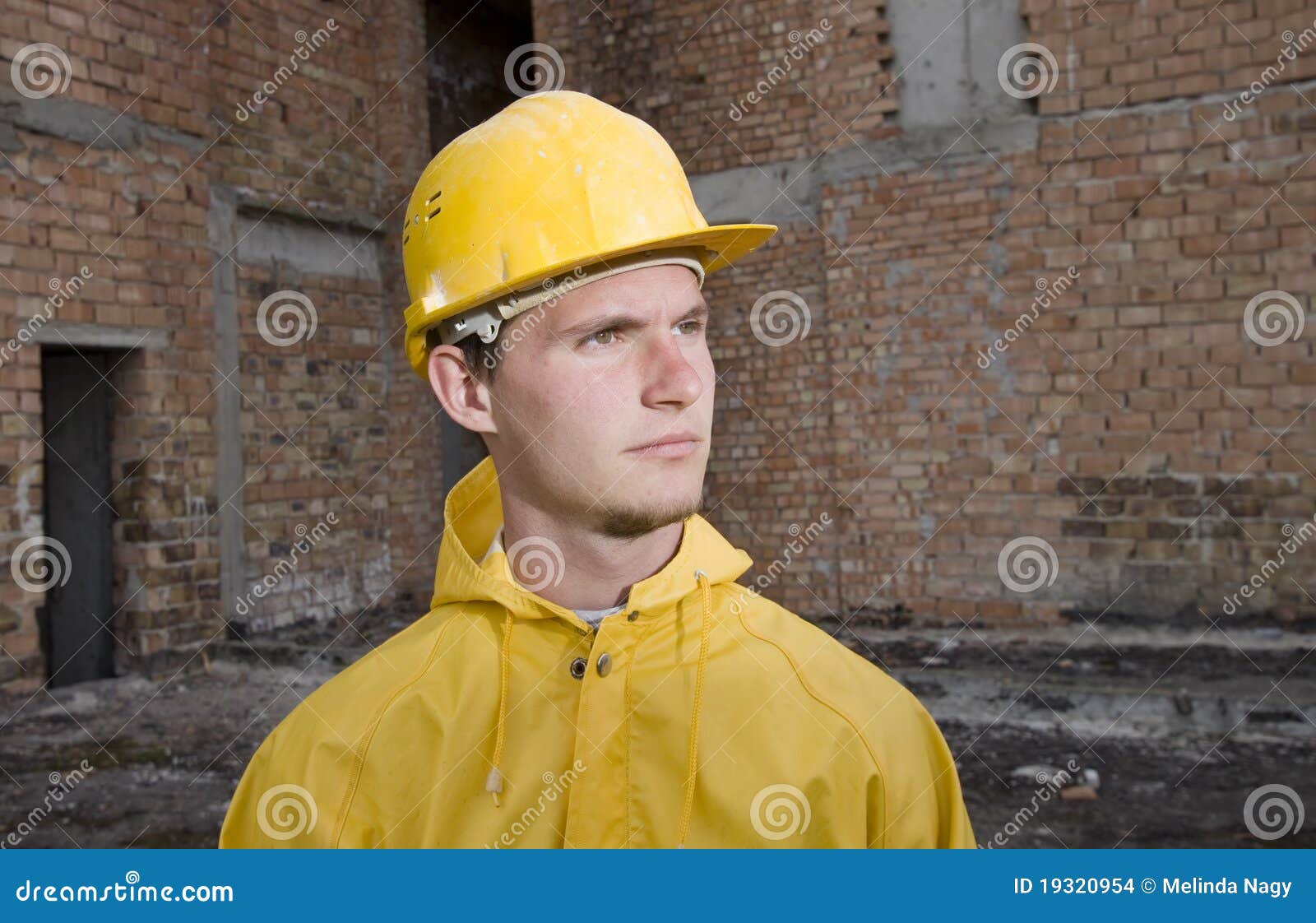 Portrait Of Confident Construction Worker Picture. Image: 19320954