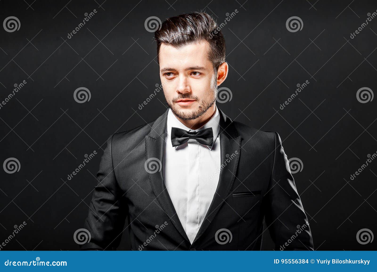 Portrait of Confident Handsome Man in Black Suit with Bowtie Stock ...