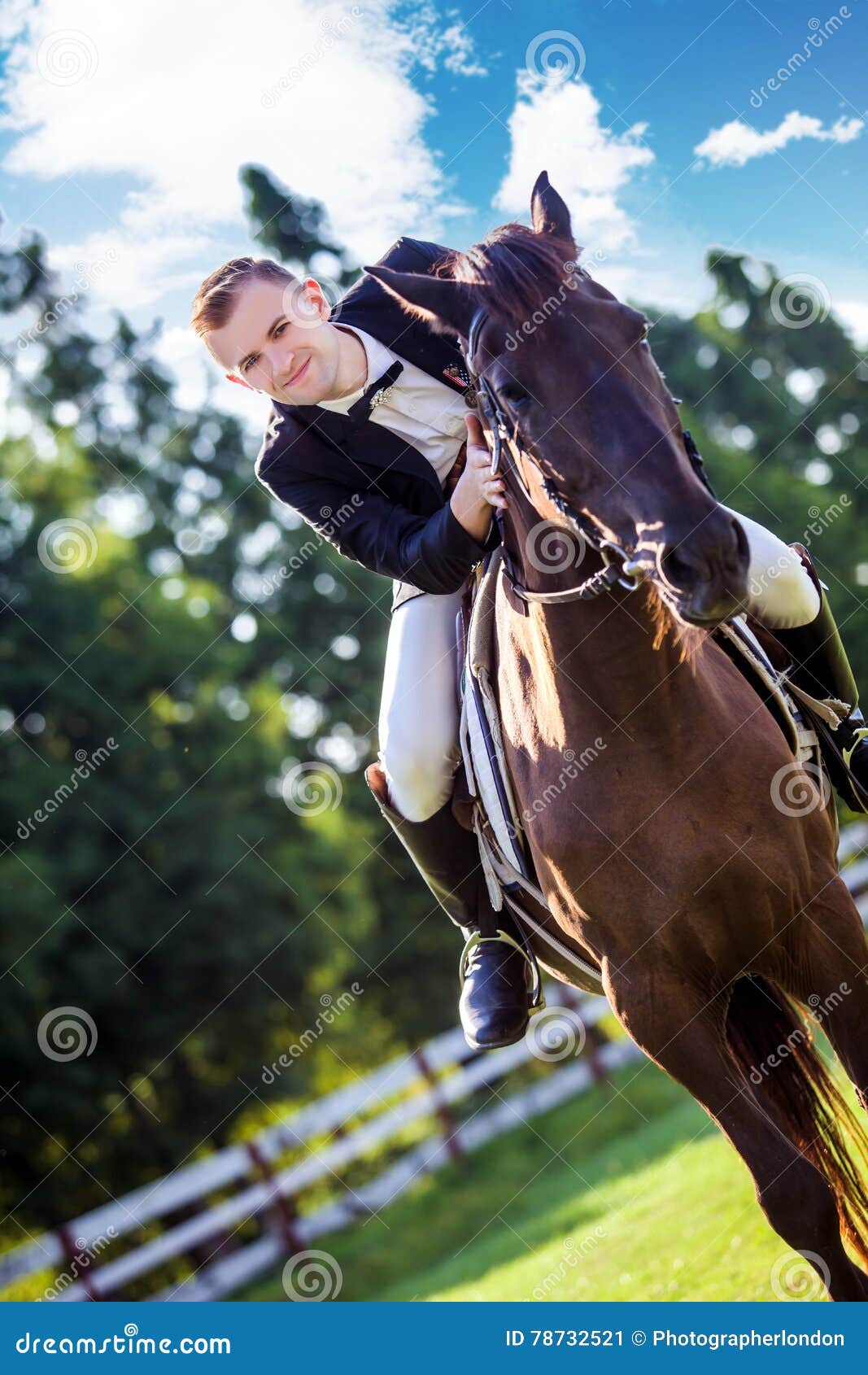 Portrait of Confident Man Riding Horse on Field Stock Image - Image of ...