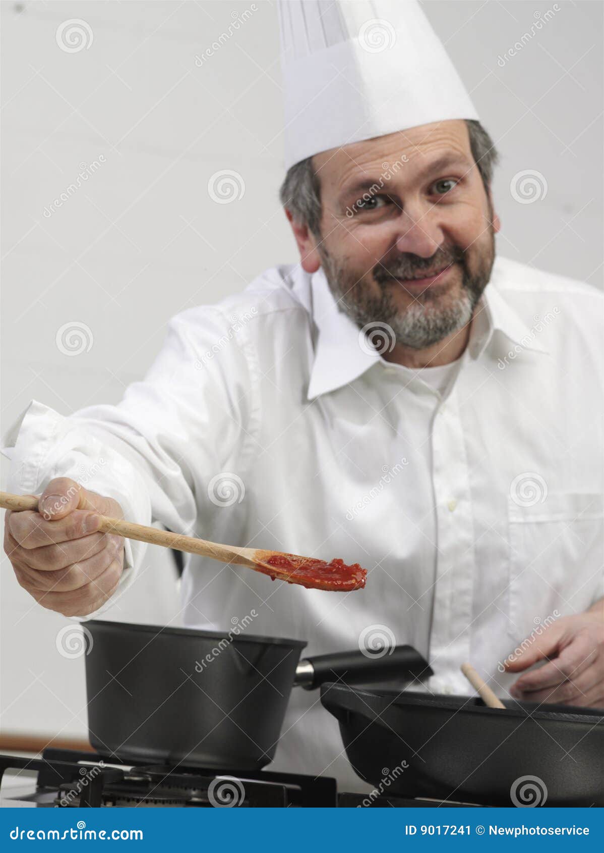 Portrait of a cook stock image. Image of nutrition, lunch - 9017241