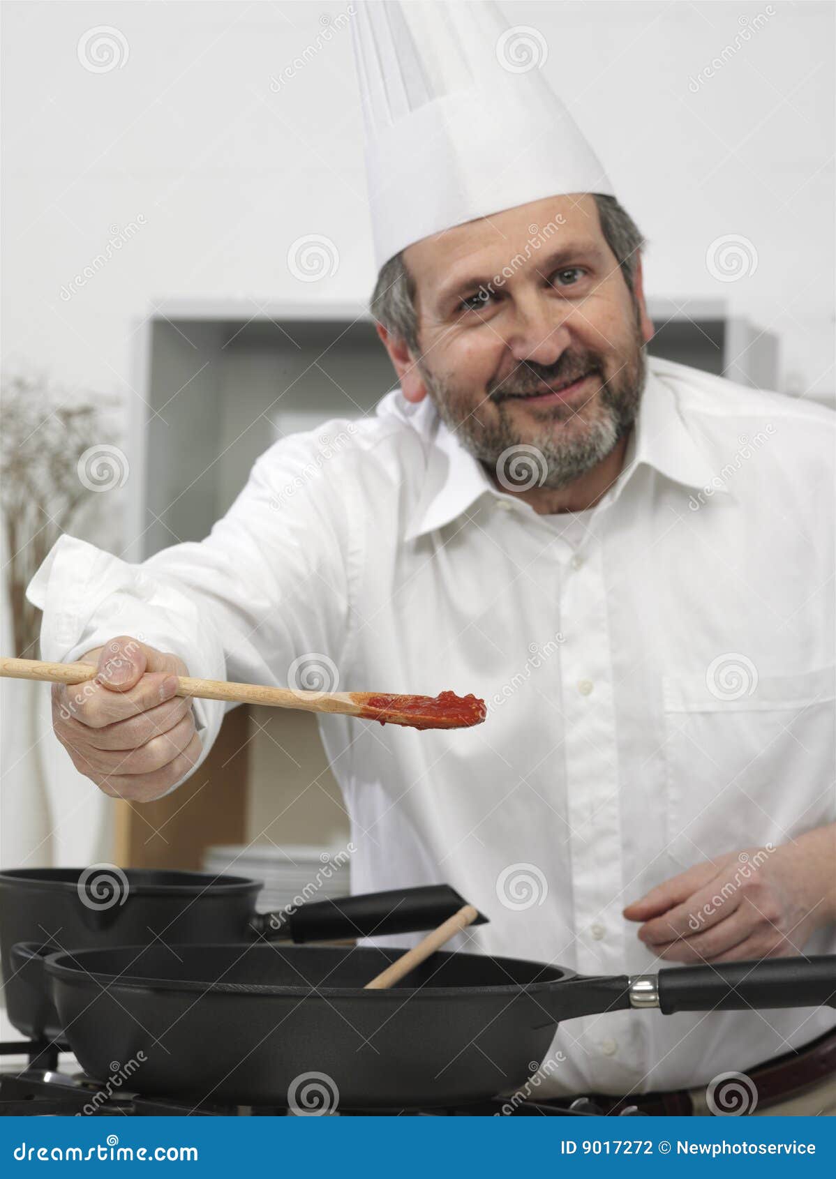 Portrait of a cook stock photo. Image of restaurant, kitchen - 9017272