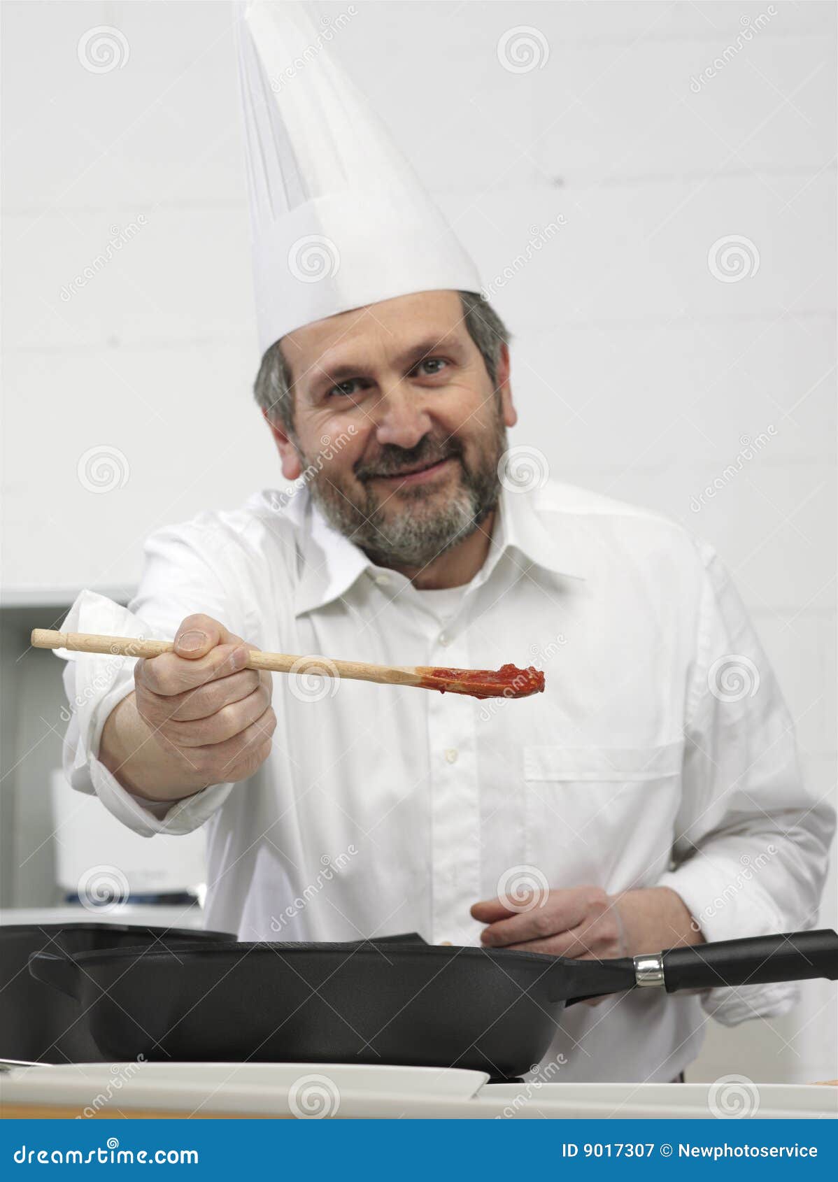 Portrait of a cook stock image. Image of controlled, adult - 9017307