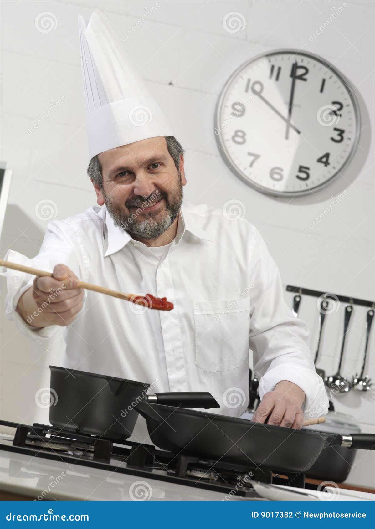 Portrait of a cook stock photo. Image of dinner, portrait - 9017382