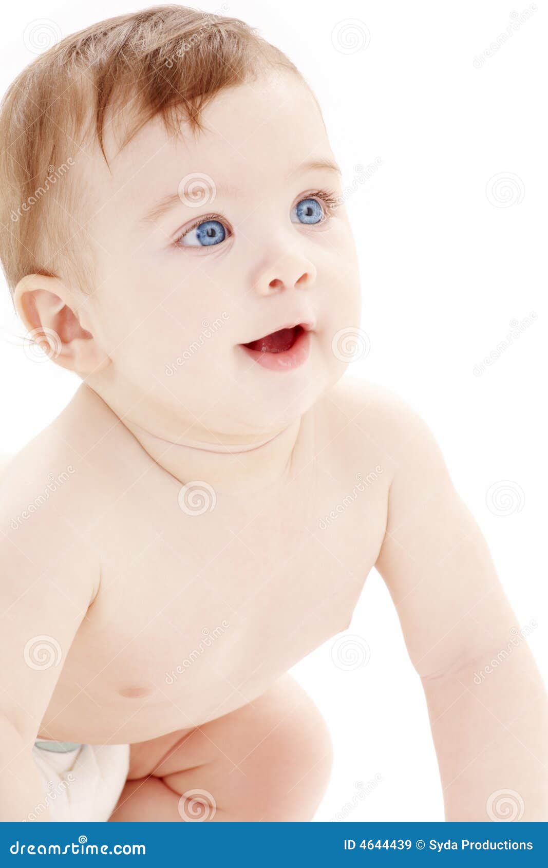 Portrait of Crawling Baby Boy Looking Up Stock Image - Image of funny ...