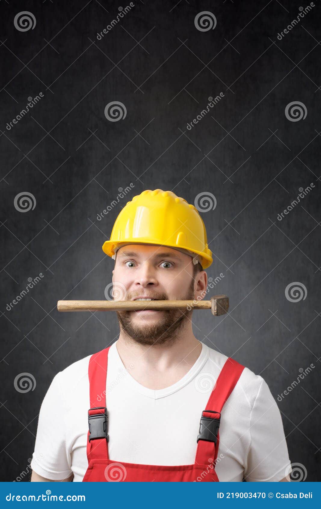 Portrait of a Crazy Construction Worker Stock Photo - Image of plumber ...