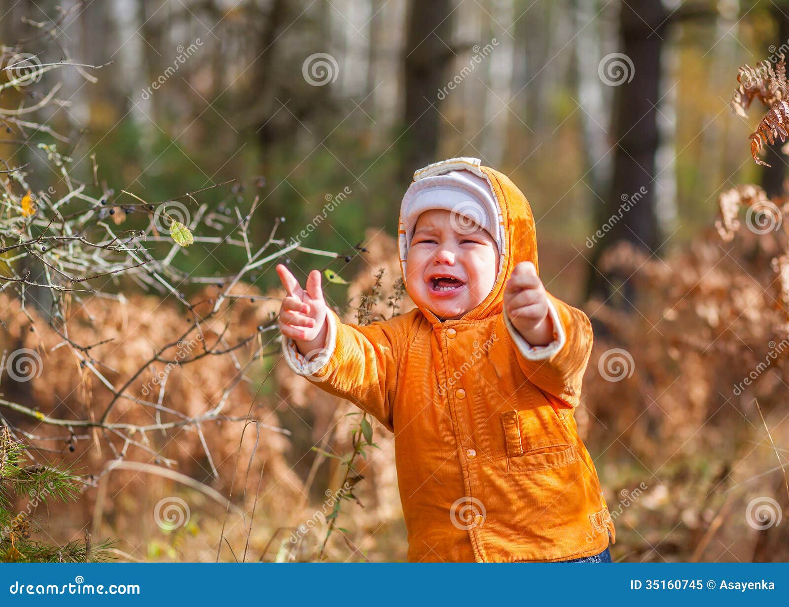 Portrait of a Crying Boy Lost Stock Image - Image of season, yellow ...