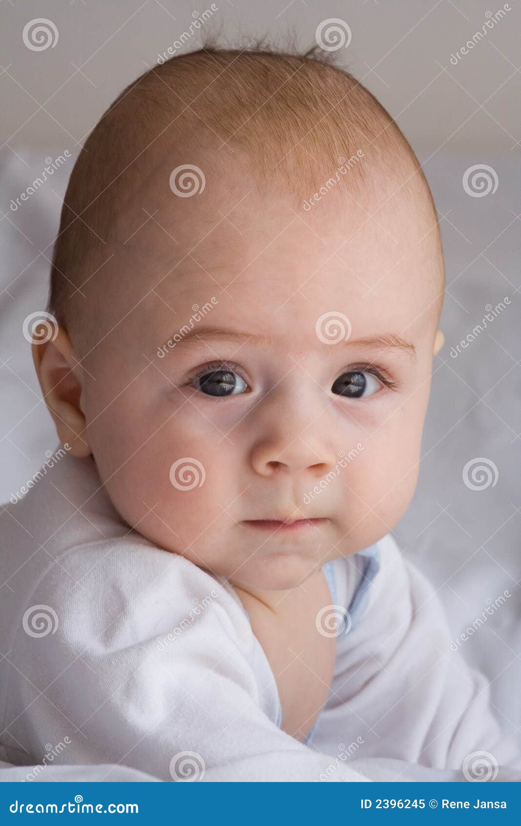 Portrait of Cute, Alert Infant Stock Image - Image of contentedly ...