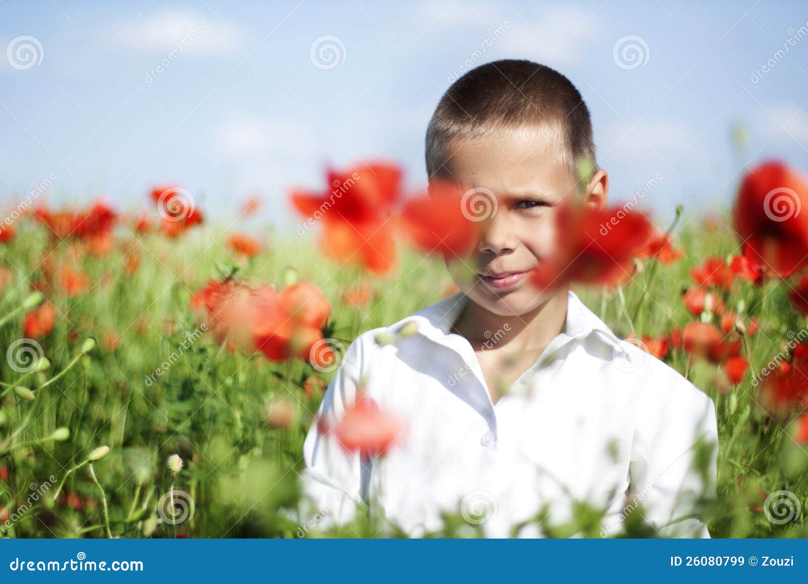 Portrait of Cute Boy in Poppy Field Stock Image - Image of happy, child ...