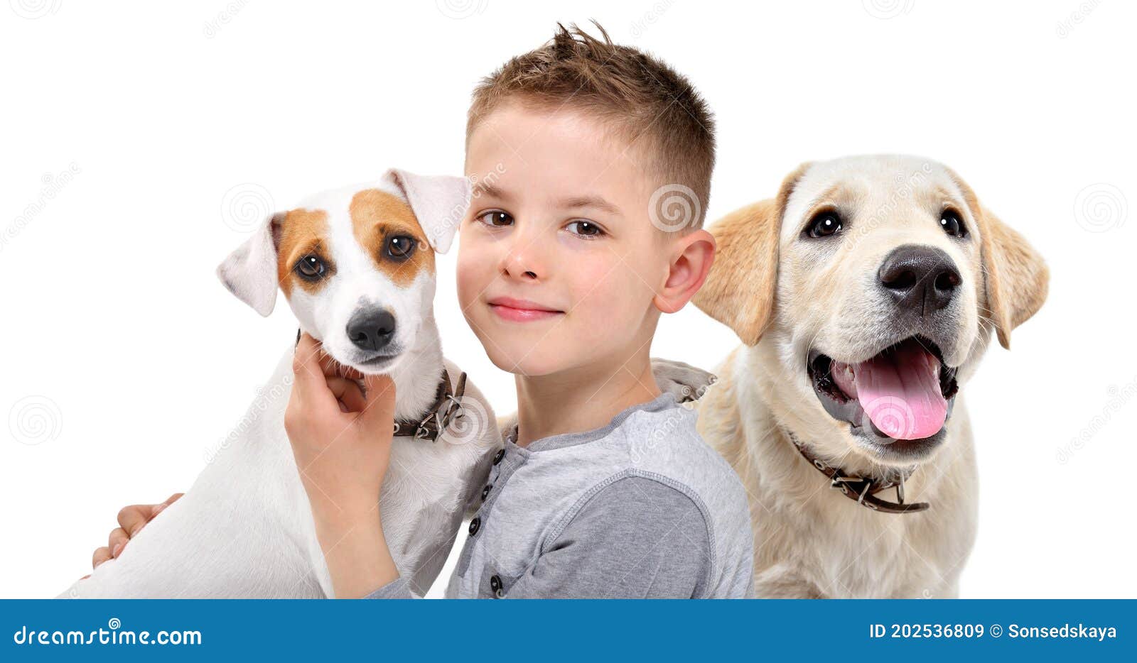 Portrait of a Cute Boy with Two Dogs Stock Image - Image of cheerful ...