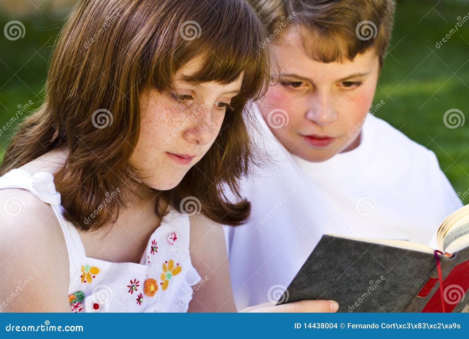 Portrait of Cute Kids Reading Books Stock Photo - Image of idyllic ...