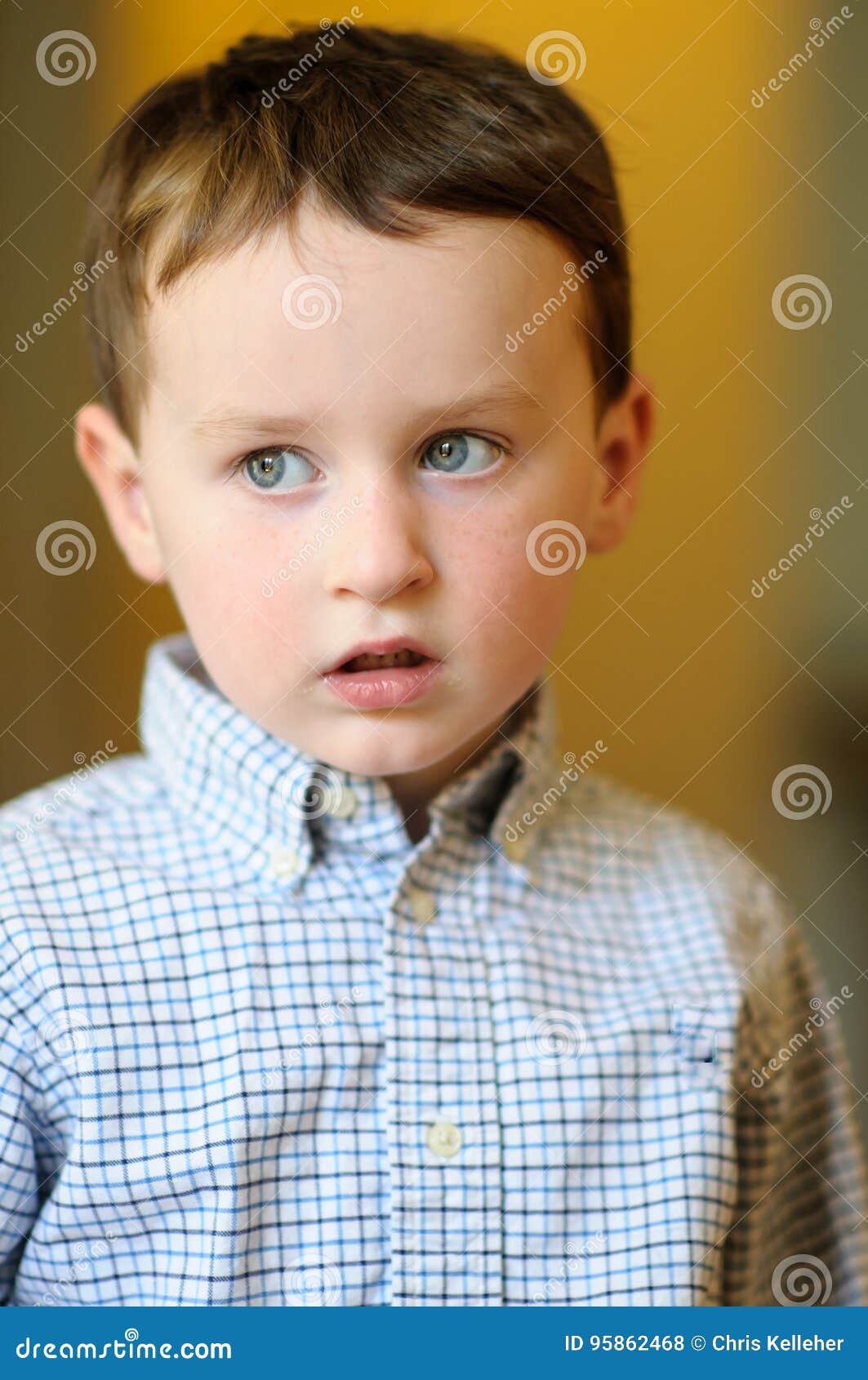 Portrait of a Cute Little Boy Inside Stock Photo - Image of hair ...