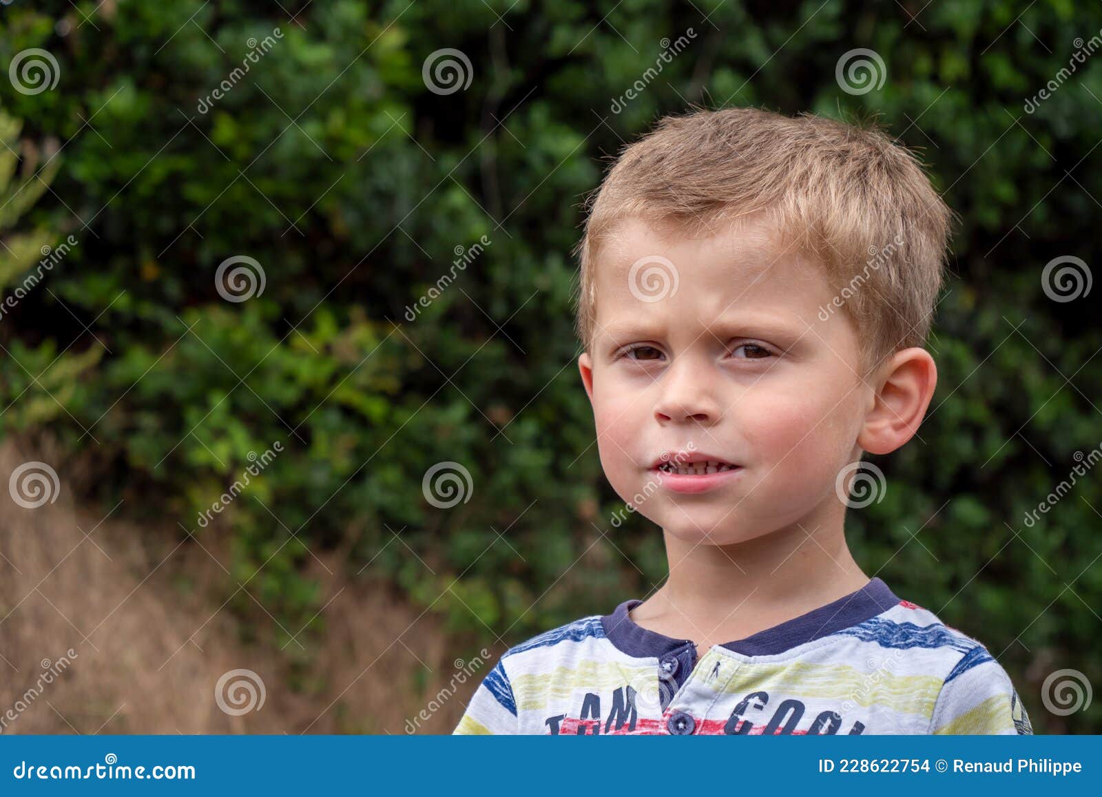 Portrait of a Cute Little Four Year Old Stock Photo - Image of ...