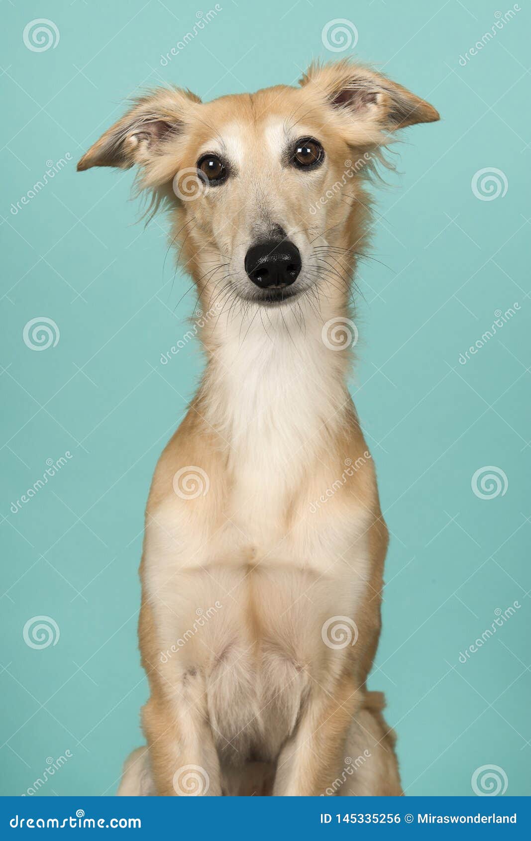 Windsprite Stock Photos - Free & Royalty-Free Stock Photos from Dreamstime