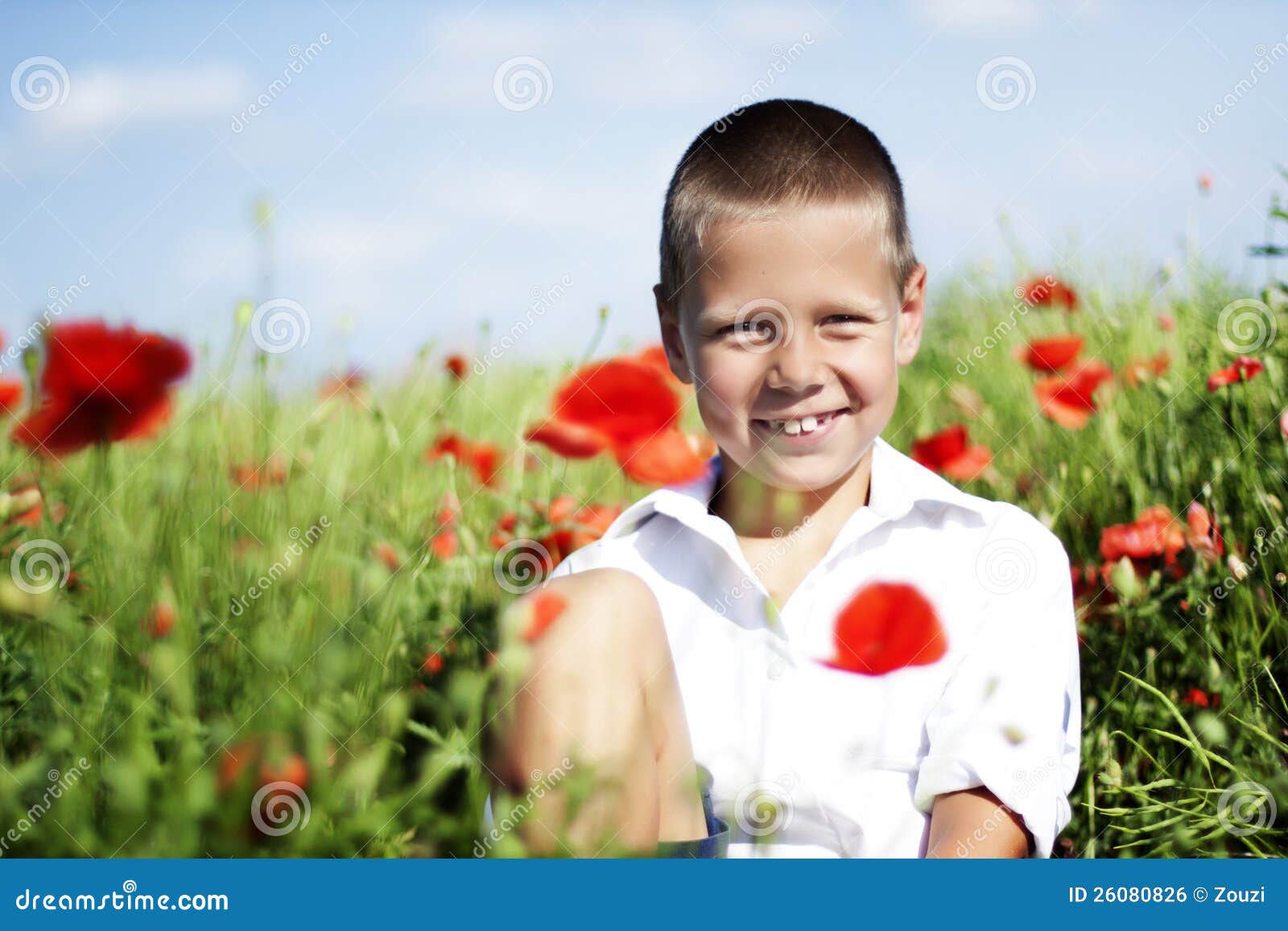 Portrait of Cute Smiling Boy in Poppy Field Stock Photo - Image of ...