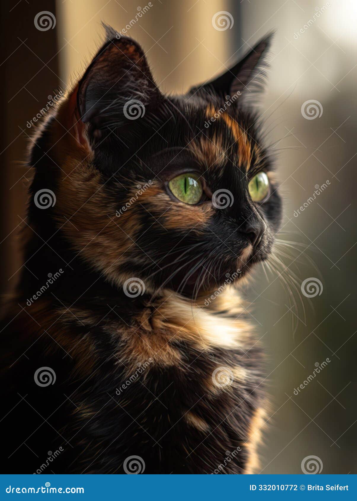 Portrait of a Cute Tortoiseshell Cat Stock Illustration - Illustration ...