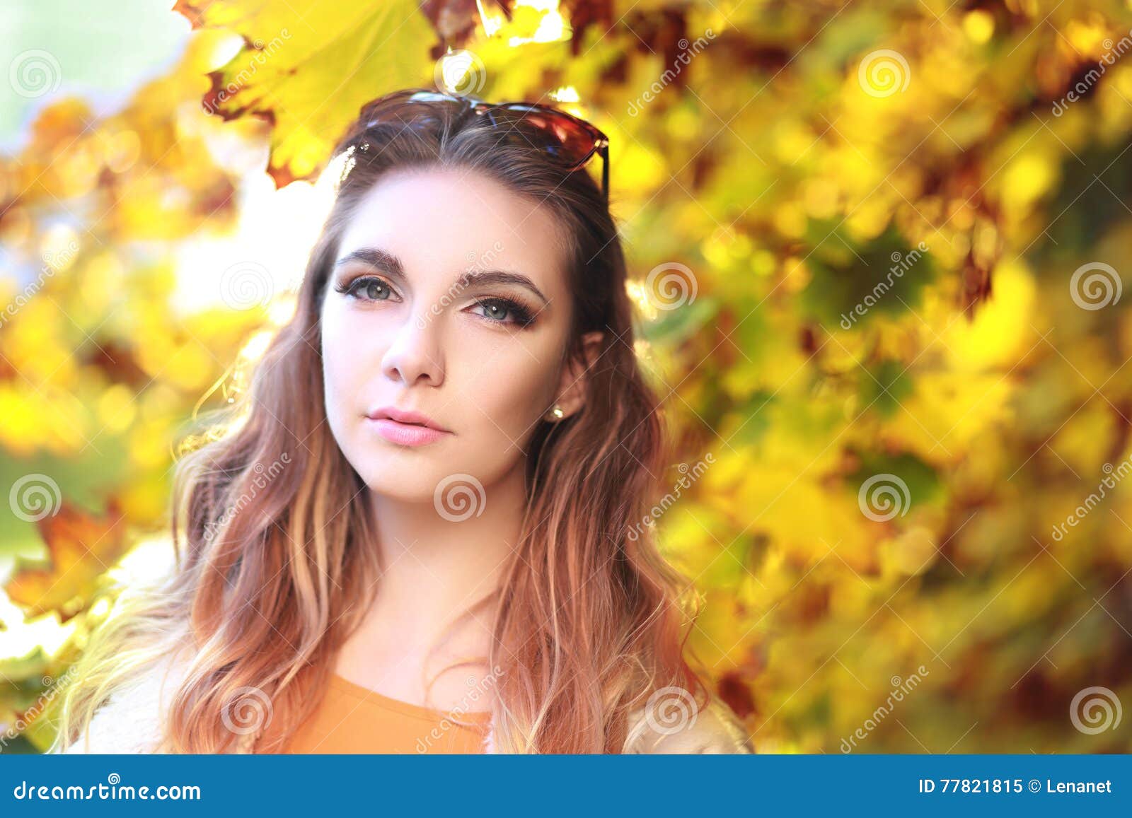 Portrait D'automne De Femme Image stock - Image du lames, seul: 77821815