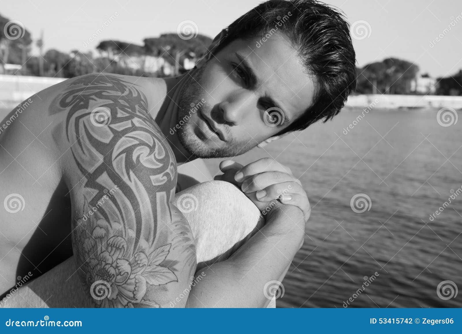 Portrait D'un Homme Brun Bel Photo stock - Image du homme, type: 53415742