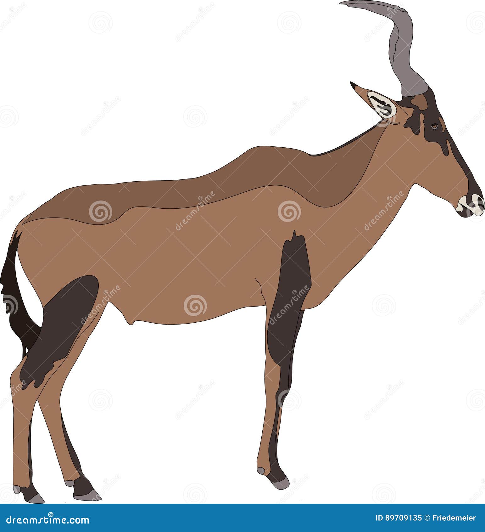 Portrait D'une Antilope Hartebeest Rouge Illustration de Vecteur ...