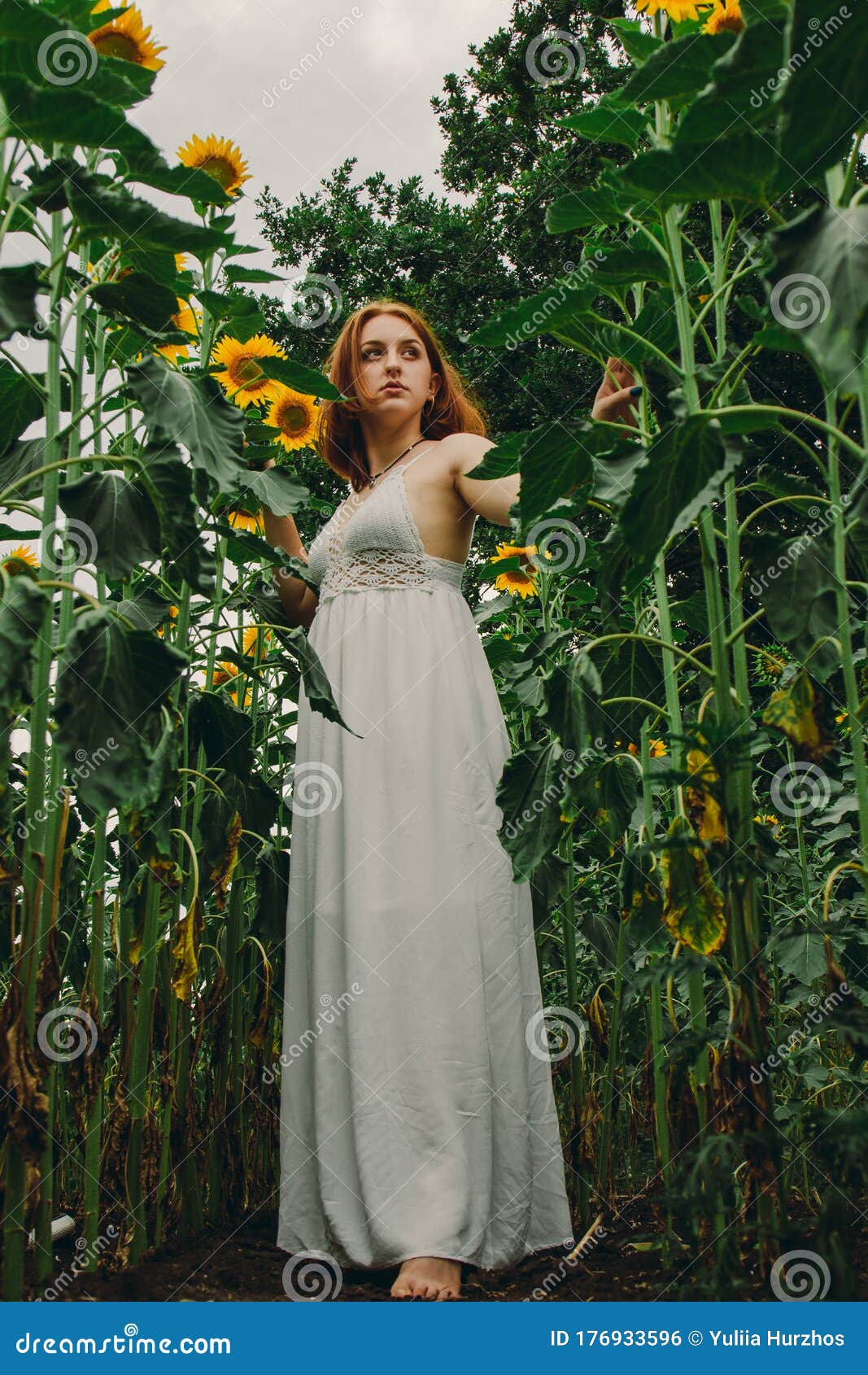 Portrait Dune Belle Jeune Fille Sexy Redhaired Dans Une Jolie Robe