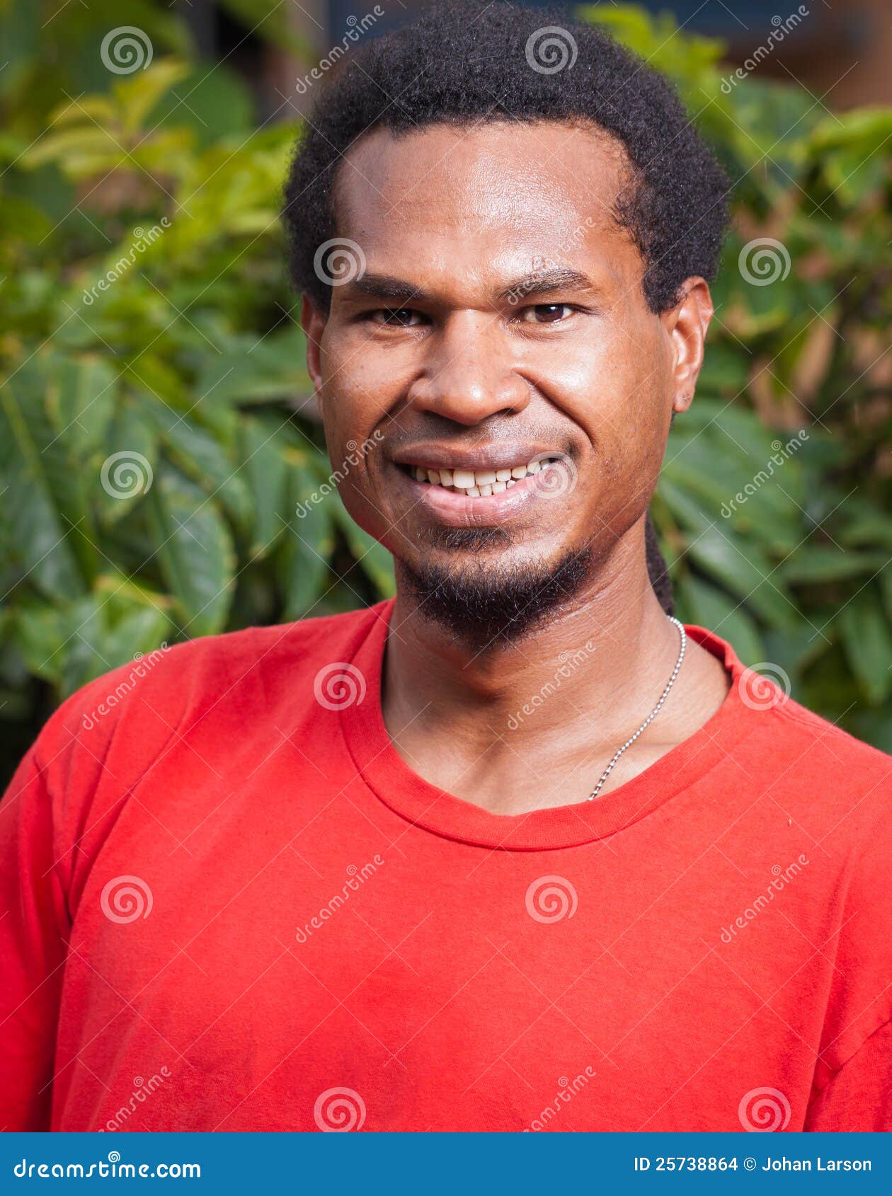 Portrait of Dark Skinned Man Stock Photo - Image of handsome, ethnicity ...