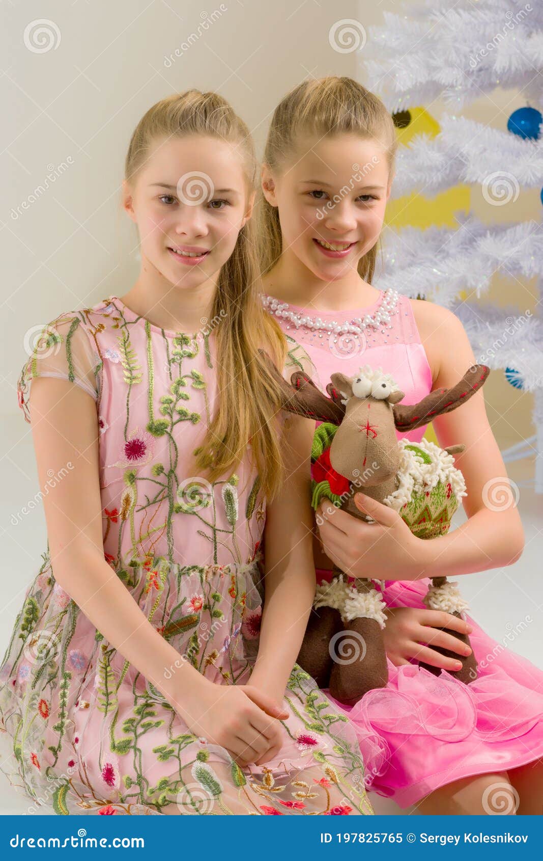 Portrait De Jolies Filles Dans Des Robes Roses Assis Ensemble Sur La