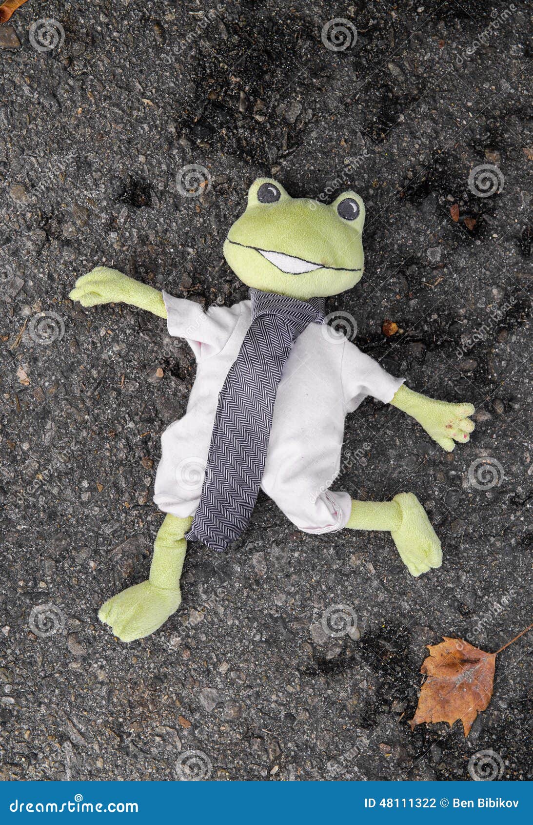 Portrait of a dead Frog stock photo. Image of stuffed - 48111322