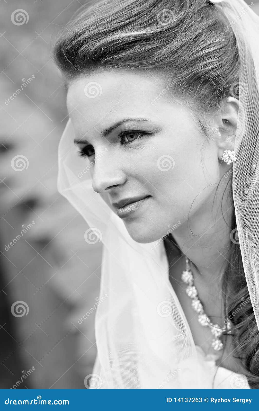 Portrait der Braut stockbild. Bild von park, mädchen - 14137263