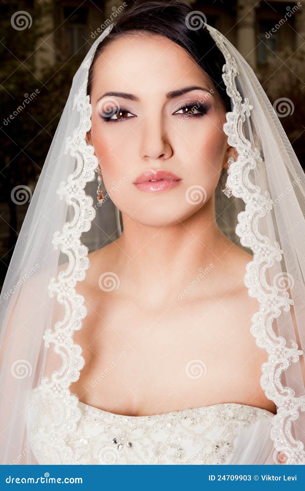 Portrait der Braut stockbild. Bild von porträt, sinnlich - 24709903