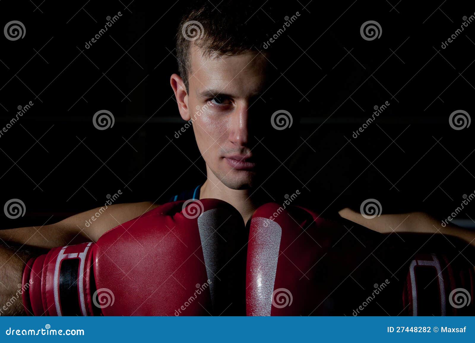 Portrait des jungen Boxers stockfoto. Bild von muskulös - 27448282