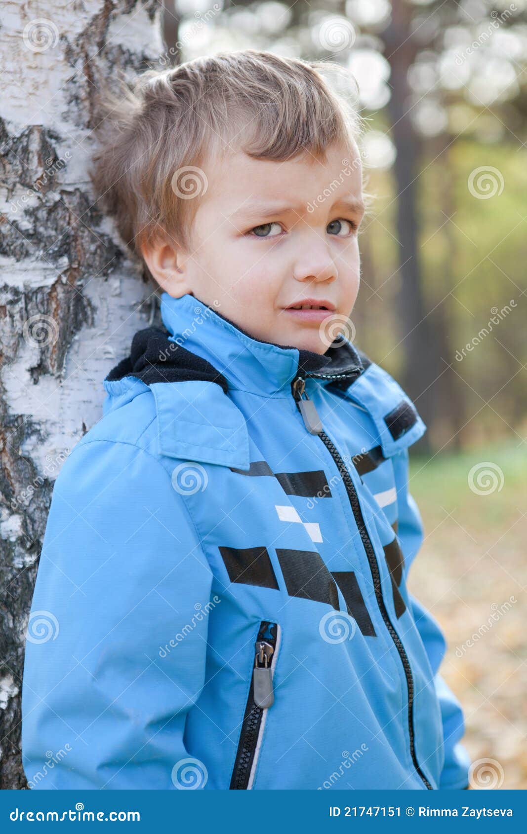 Portrait of Disaffected Young Boy, Fall, Park Stock Image - Image of ...