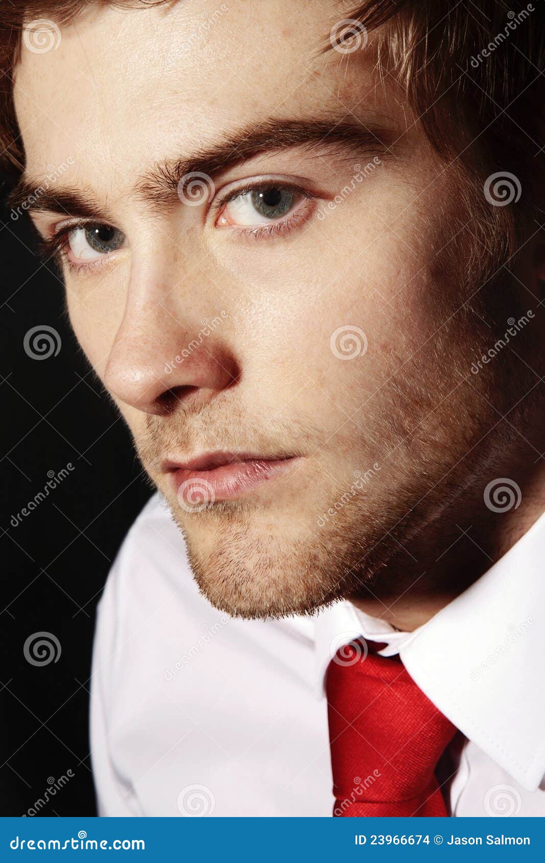 Portrait discret photo stock. Image du businessman, caucasien - 23966674