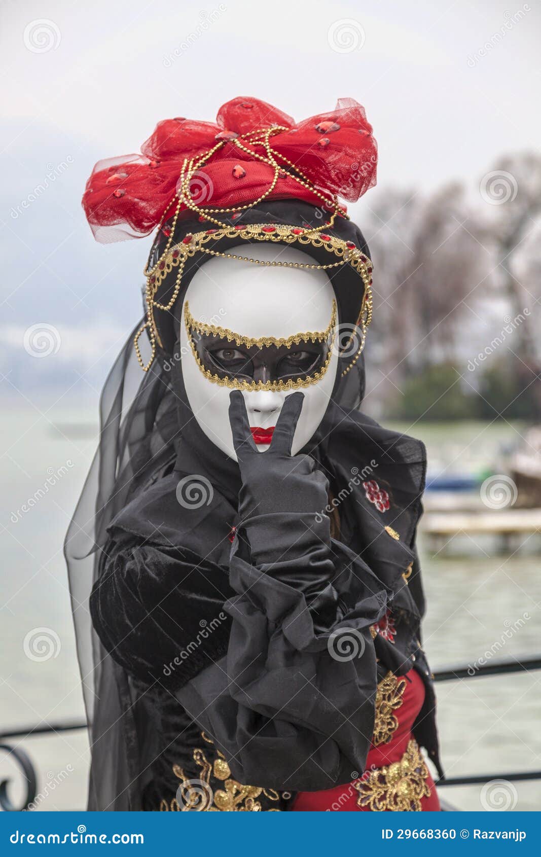 Portrait of a Disguised Person Editorial Image - Image of european ...