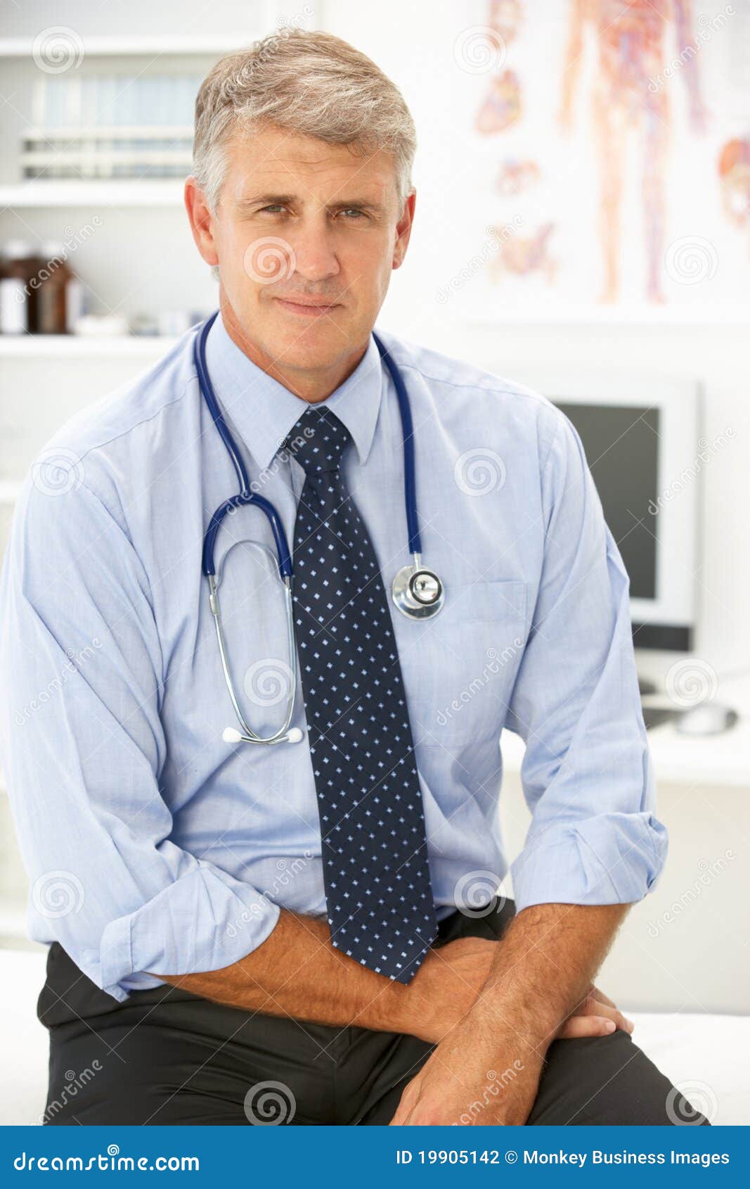 Portrait of doctor stock photo. Image of professional - 19905142