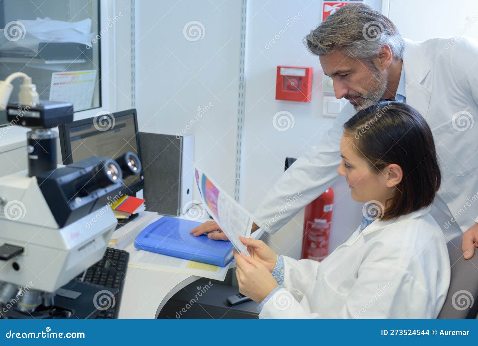 Portrait doctors in lab stock photo. Image of girl, employer - 273524544
