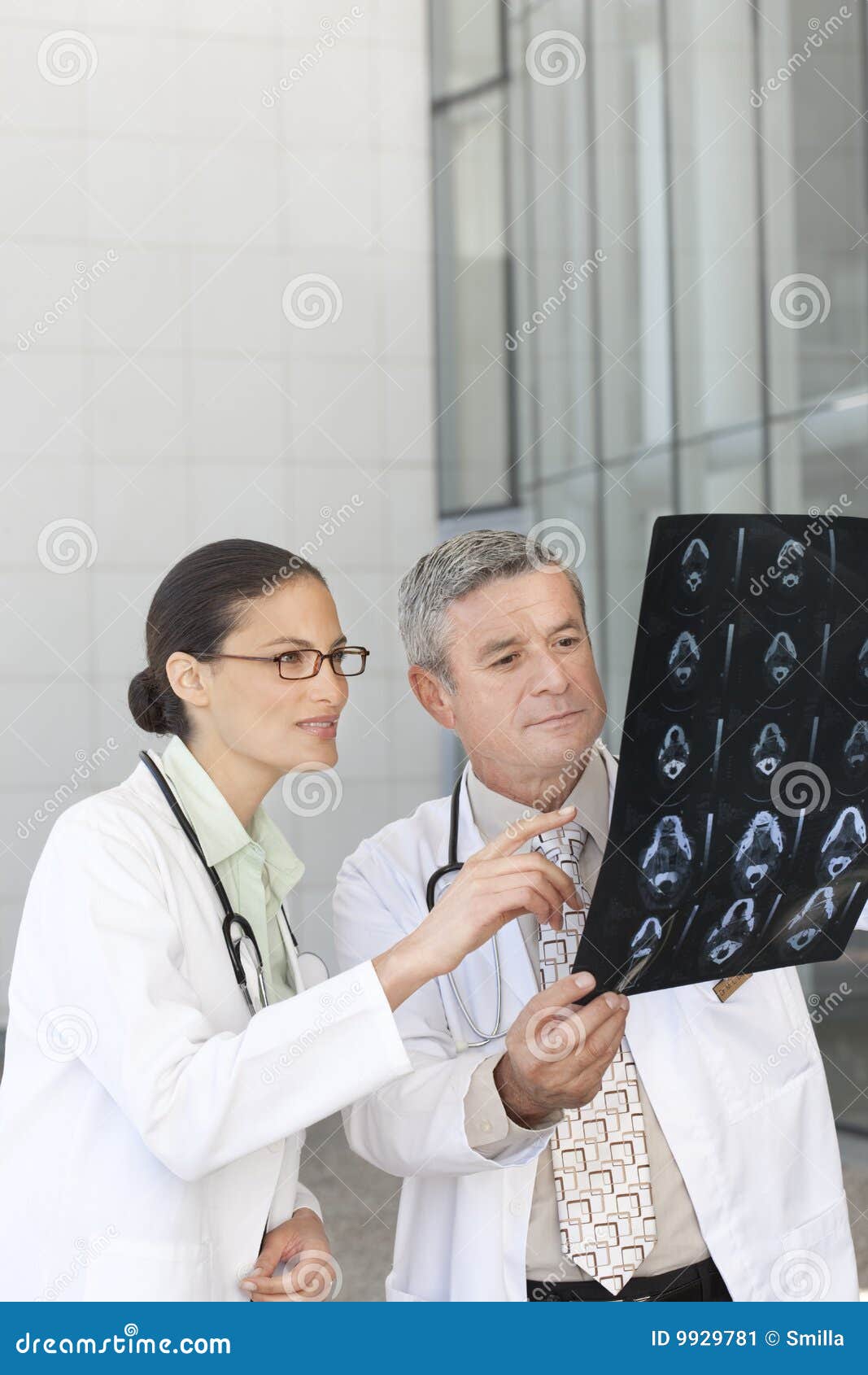 Portrait of Doctors Looking at Xray Stock Image - Image of small, skill ...