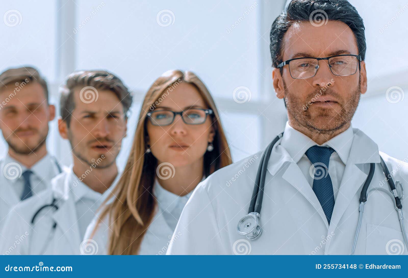 Portrait of Doctors Standing in a Row in the Hospital Stock Photo ...
