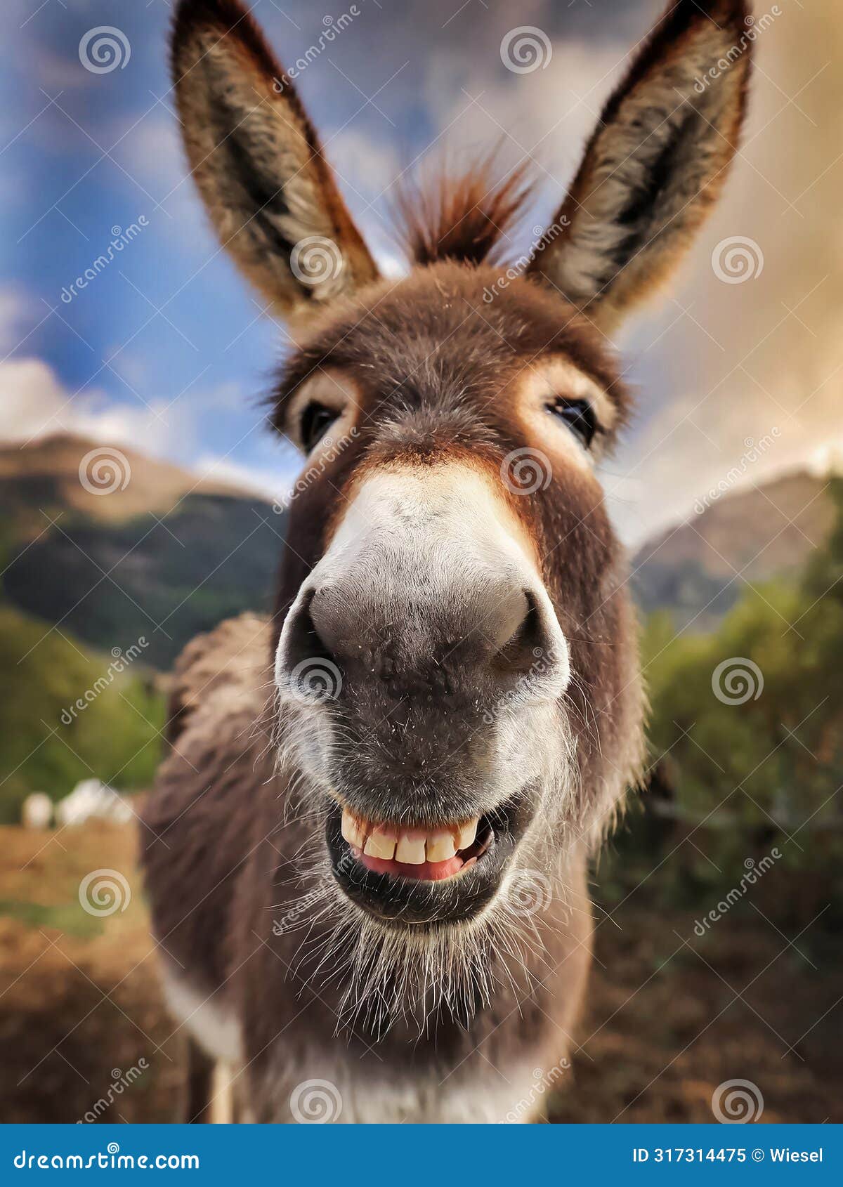 A Happy Donkey in the Nature Stock Illustration - Illustration of ...