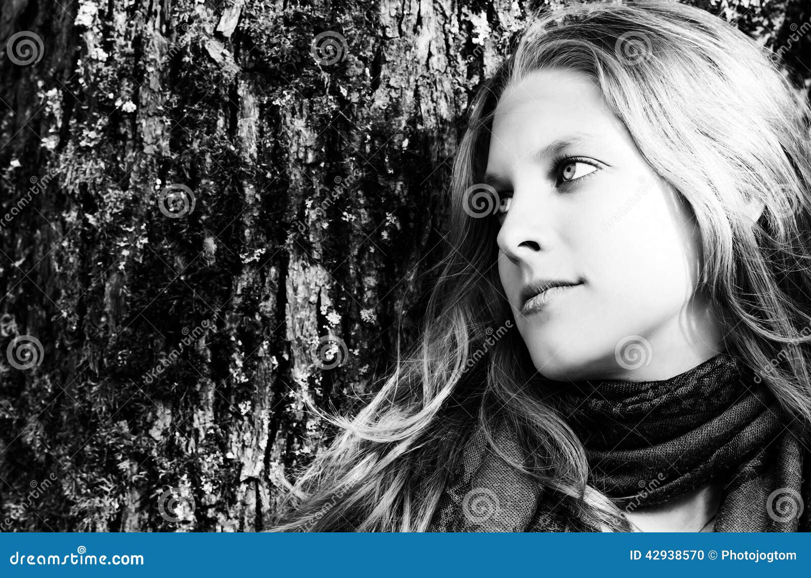 Portrait of a Dreaming Woman Stock Photo - Image of blond, copy: 42938570