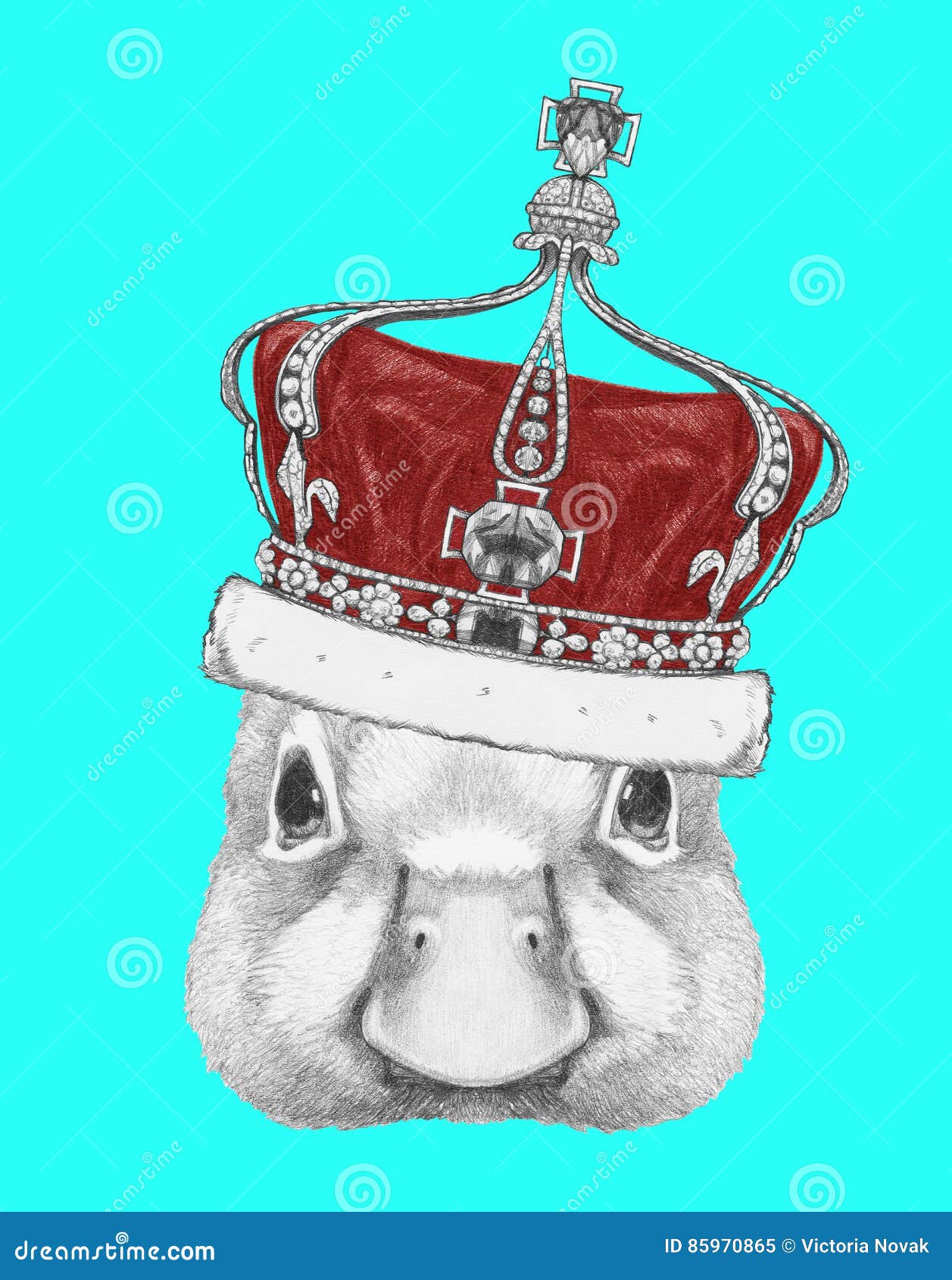 Portrait of Duck with Crown. Stock Illustration - Illustration of ...
