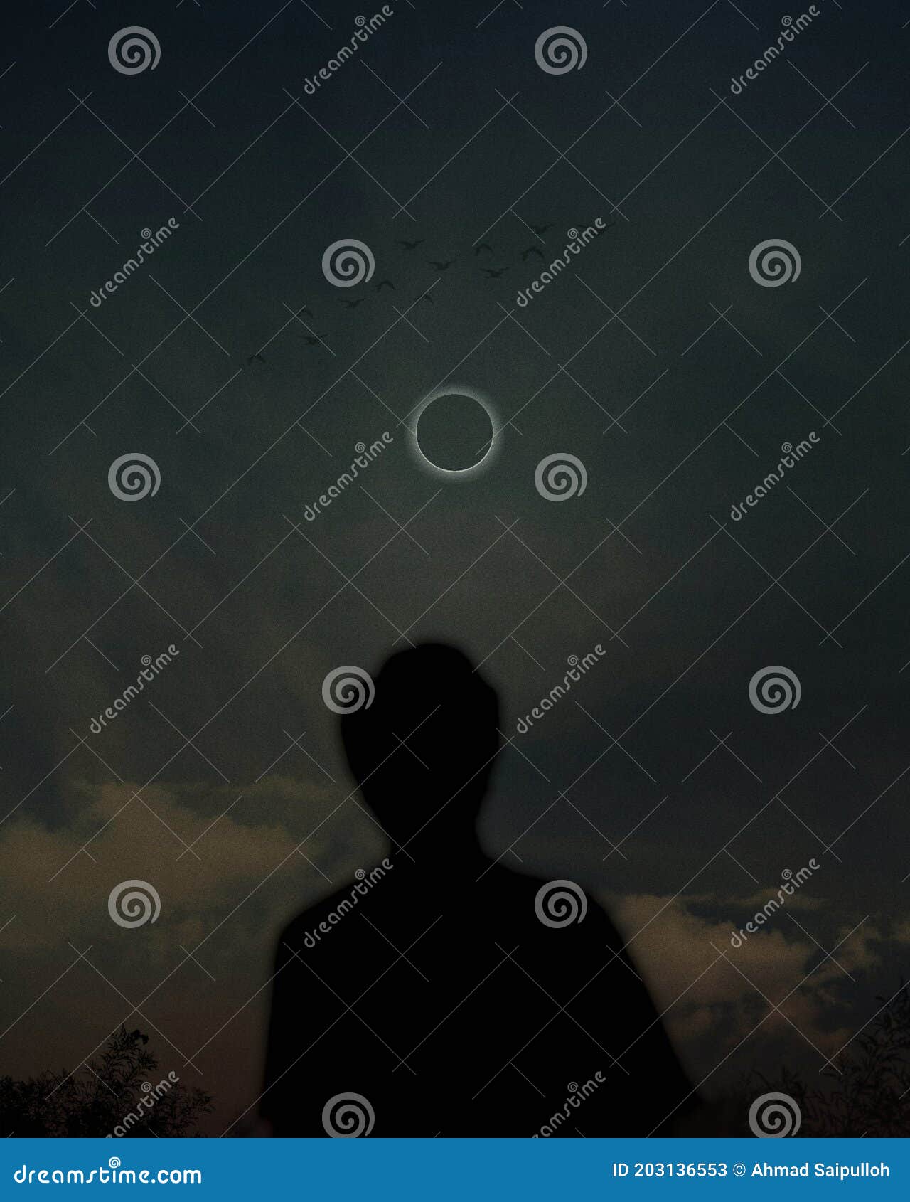 A portrait of an eclipse stock image. Image of moon - 203136553