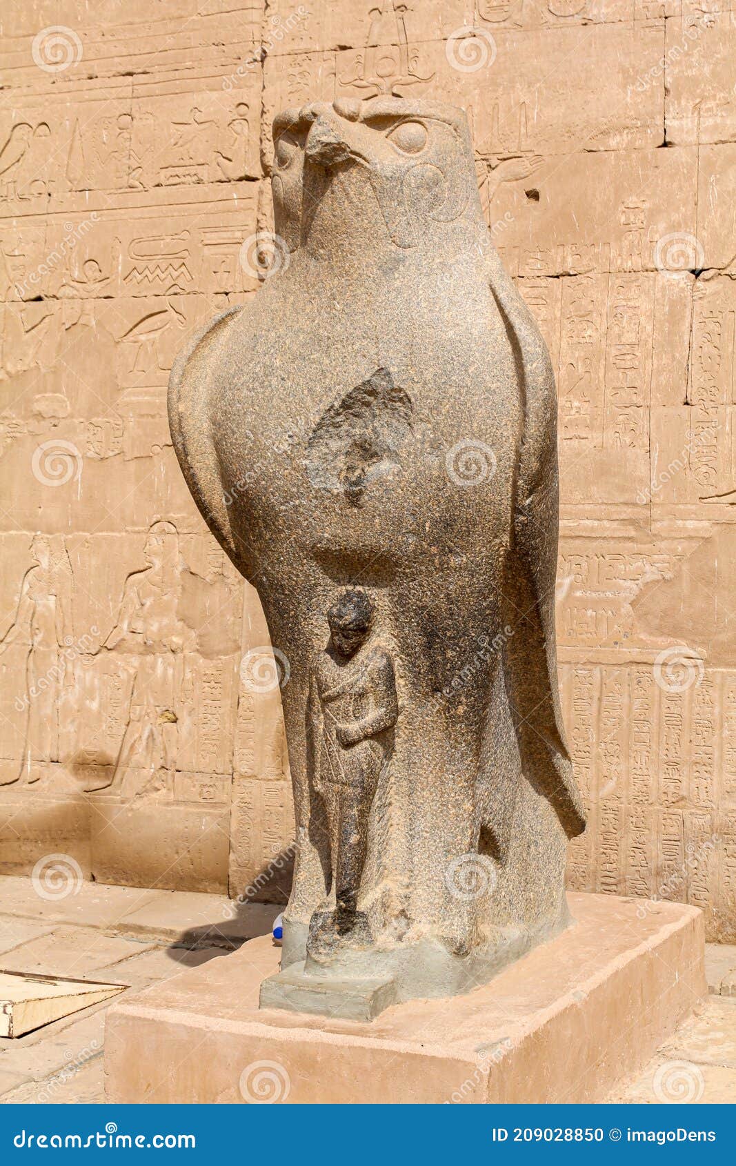 Egyptian Hawk Flying Stock Image | CartoonDealer.com #178584451