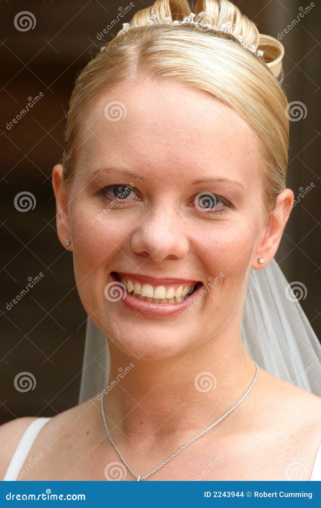 Portrait einer Braut stockfoto. Bild von leben, hochzeit - 2243944