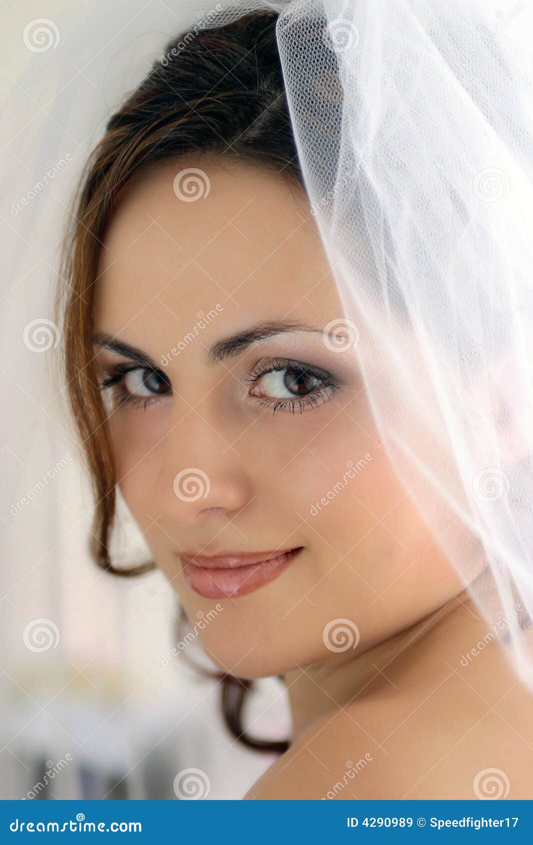 Portrait einer Braut stockbild. Bild von erwachsener, porträt - 4290989