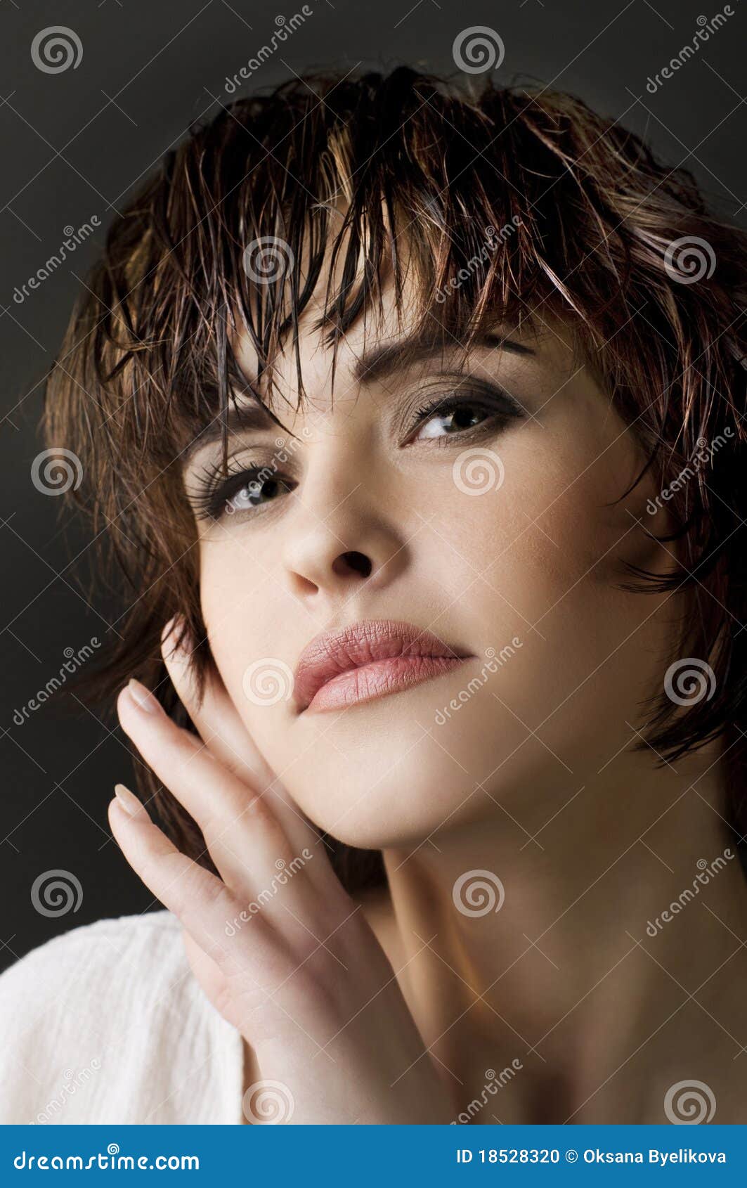 Portrait Einer Schönen Frau Stockfoto - Bild von frau, aufbau: 18528320