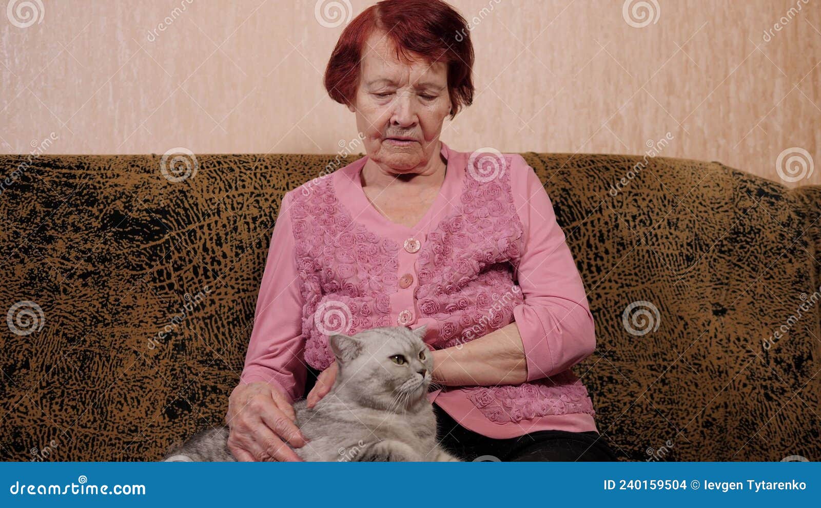 Portrait Of An Elderly Great Grandmother With A Gray Fluffy Cat On The