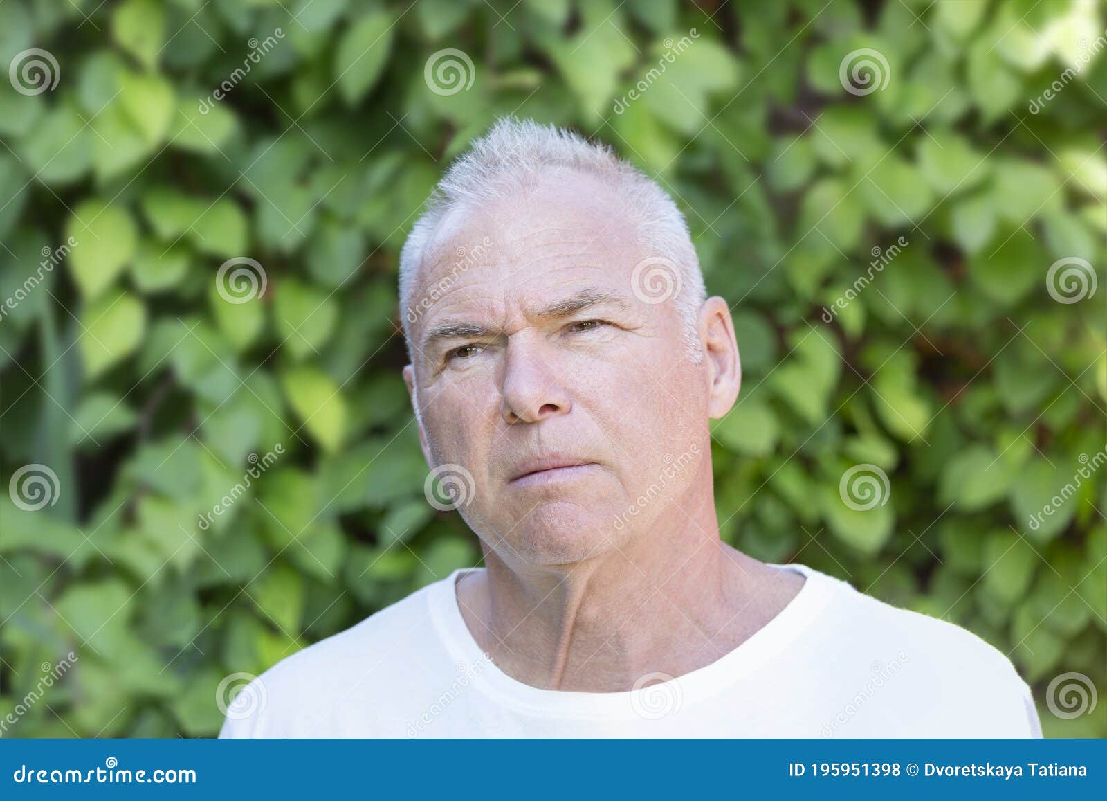 Portrait of an Elderly Handsome Man on a Green Background Stock Photo ...