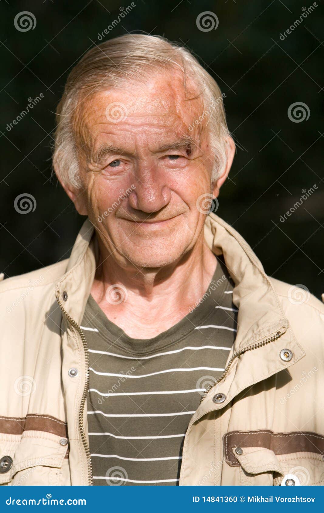 Portrait of the Elderly Man Stock Photo - Image of summer, tree: 14841360