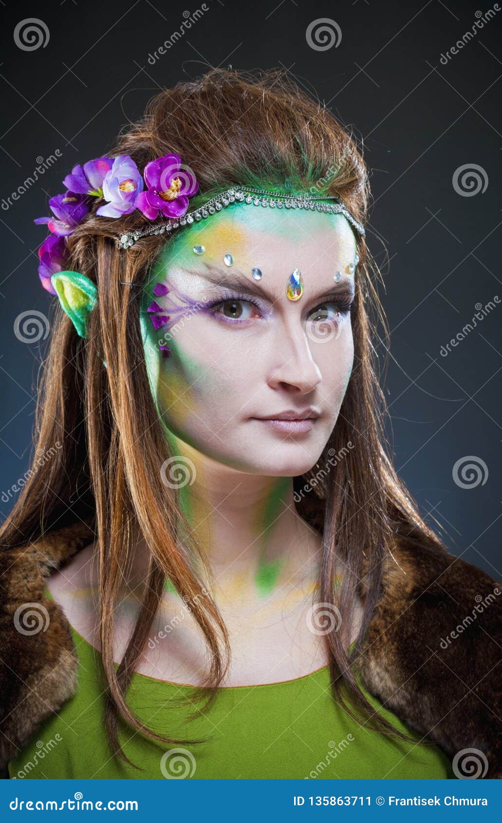 Portrait of an Elf with Long Hair Stock Image - Image of fashion, face ...